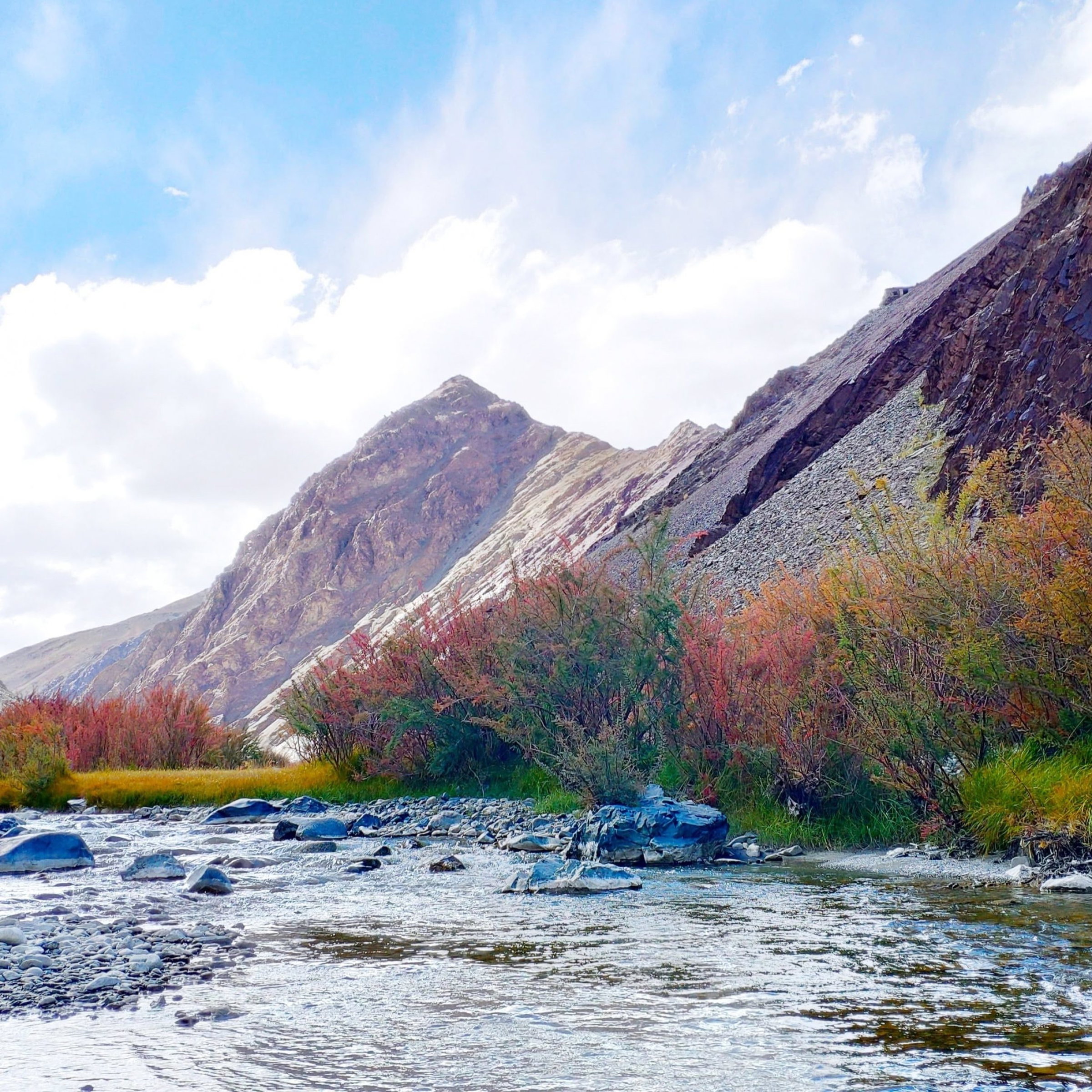 Its Kashmir - Veda Trails | Holidays Tours | Vacation Gateways | India ...